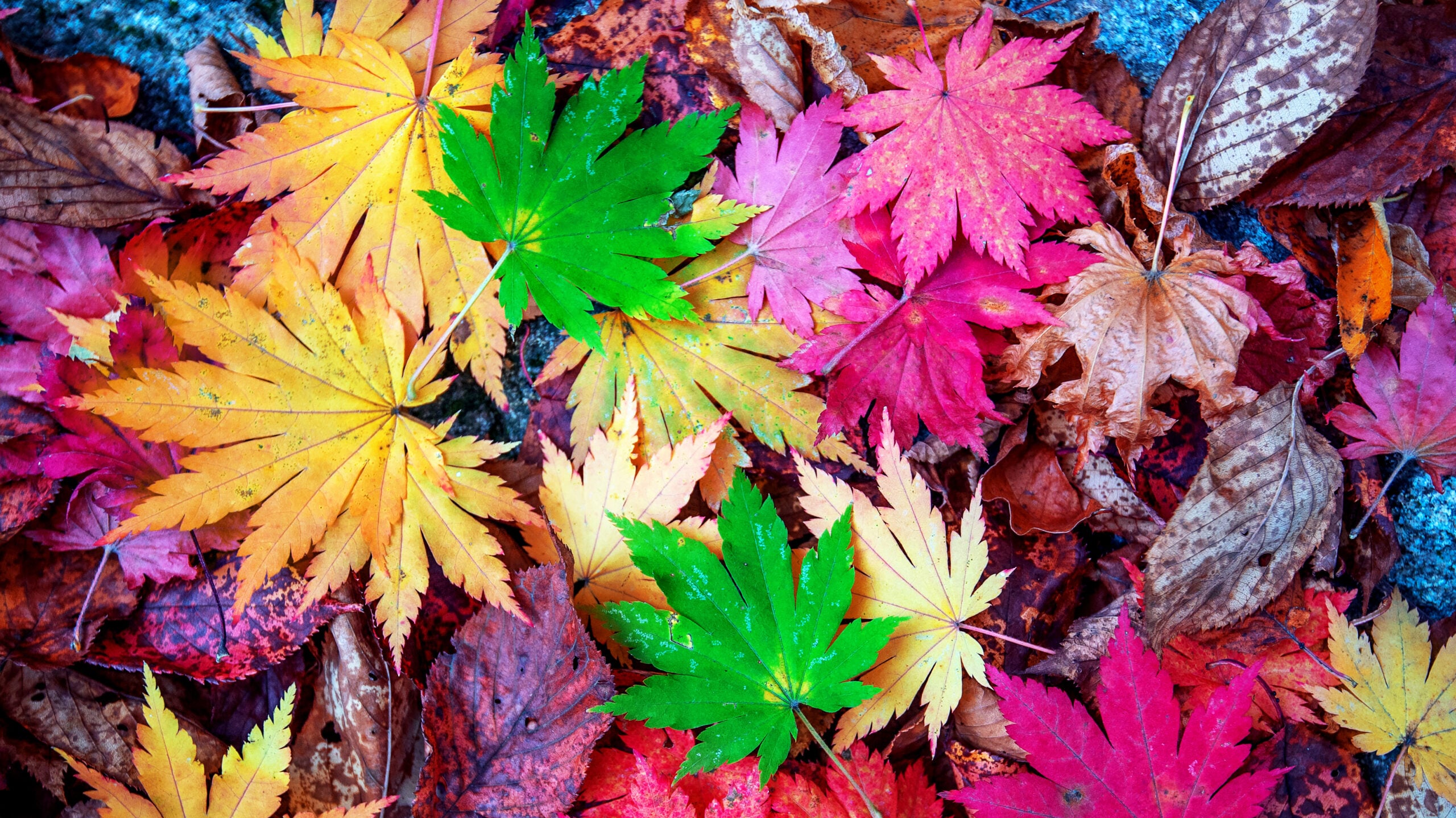 Colores en chino: 7 Consejos para aprenderlos definitivamente